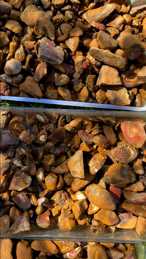 NEW!! Picture Stone 1/3 kg Bulk Australian Opal Rough. Yowah Nut Potch ...